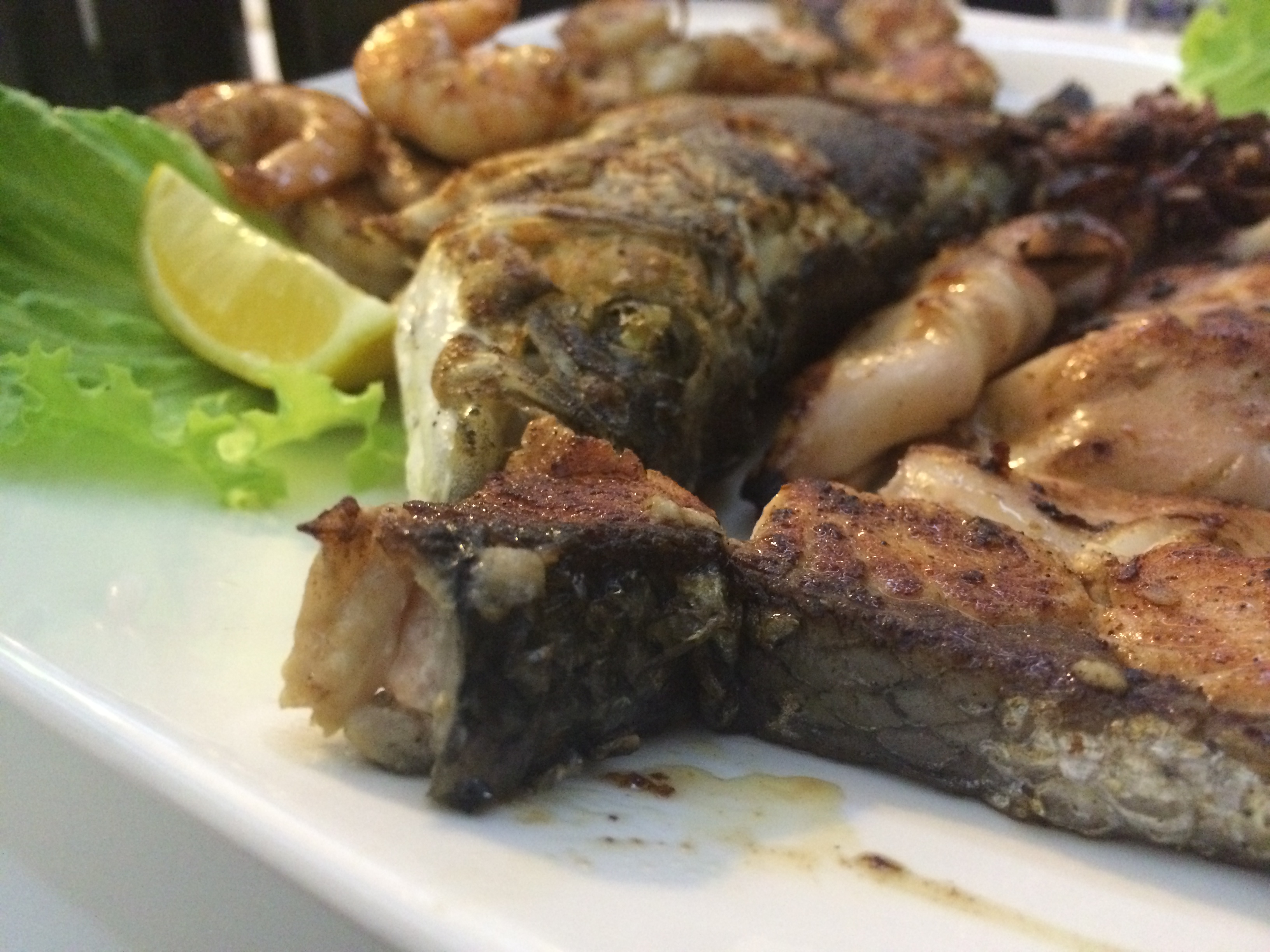 Detari: Taking fish seriously - Prishtina Insight