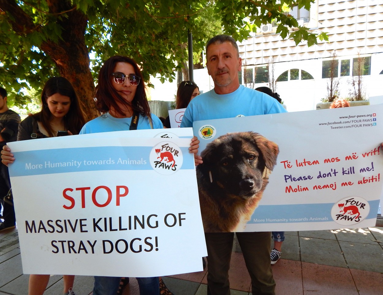 Protesters demand an end to killings of stray dogs in Kosovo ...