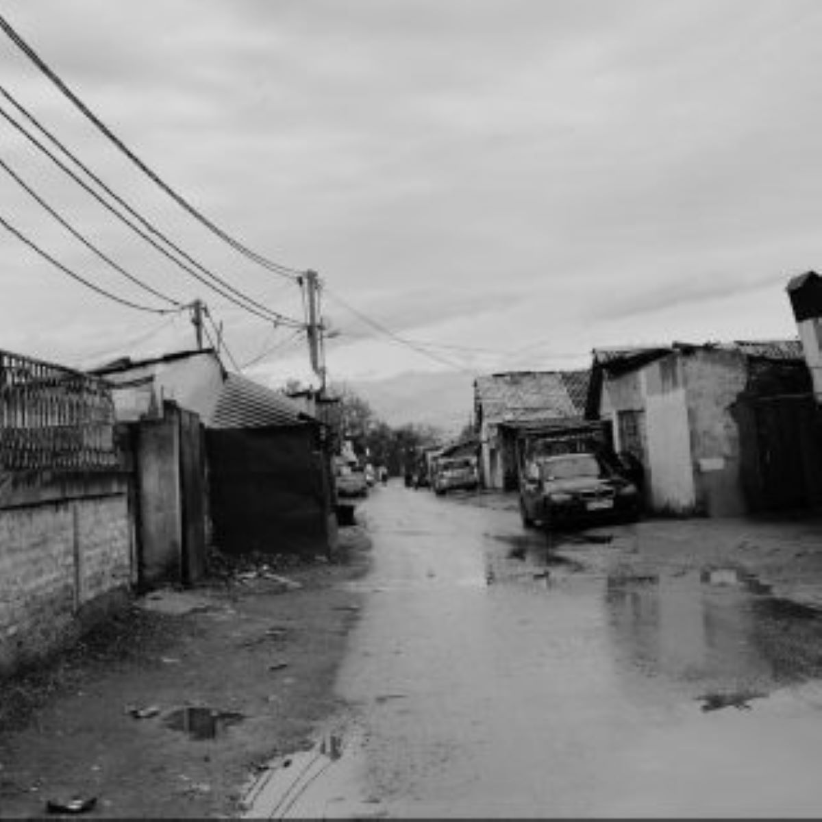 Bridging Borders: Roma NGOs Unite for Peace and Inclusion in Serbia and ...